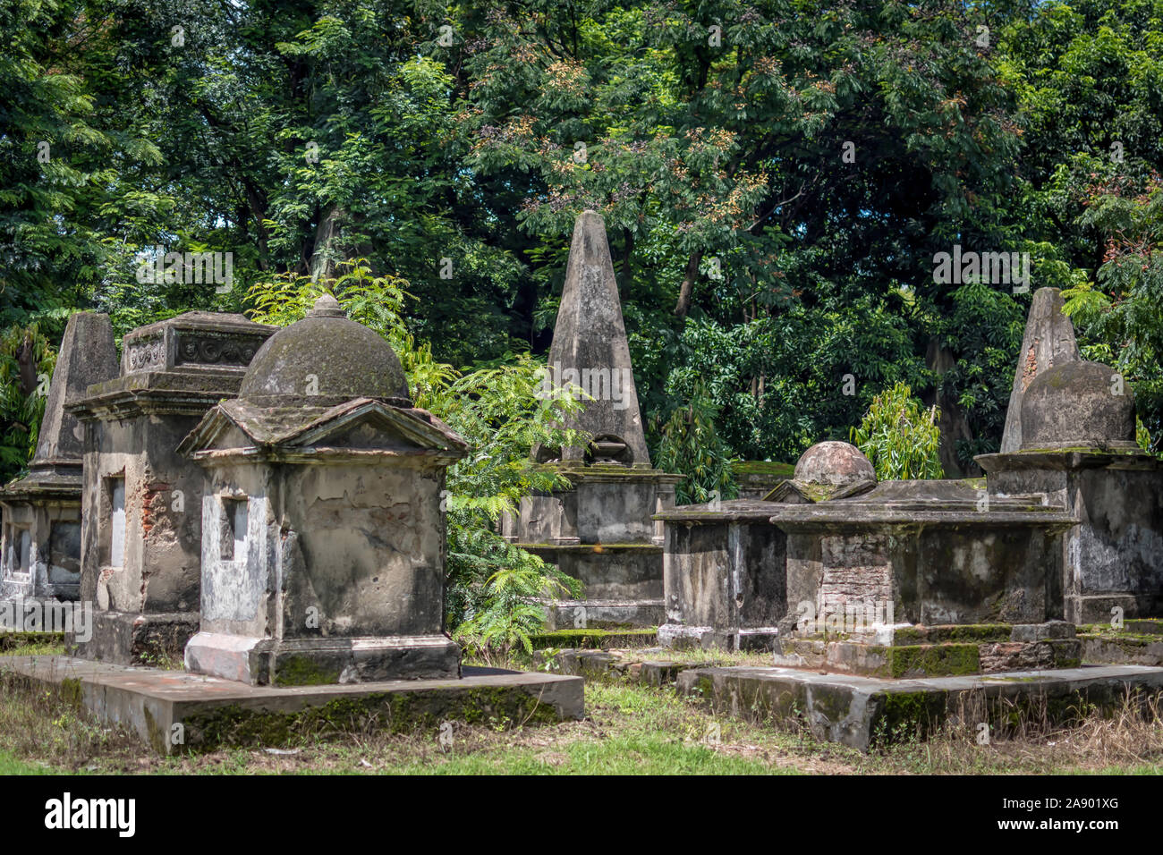 Old trees and ancient gravestones tombs of South Park Street Cemetery ...