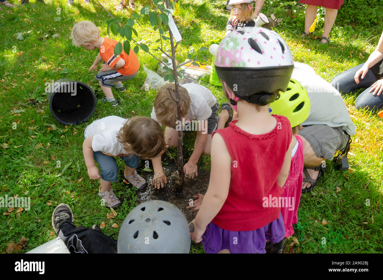Children help plant a tree in the grassy ground Stock Photo - Alamy