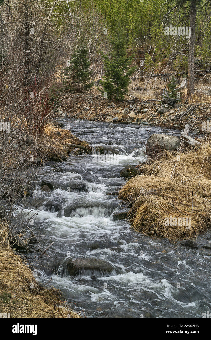 Spring runoff in a stream or creek creating mini waterfalls along the ...