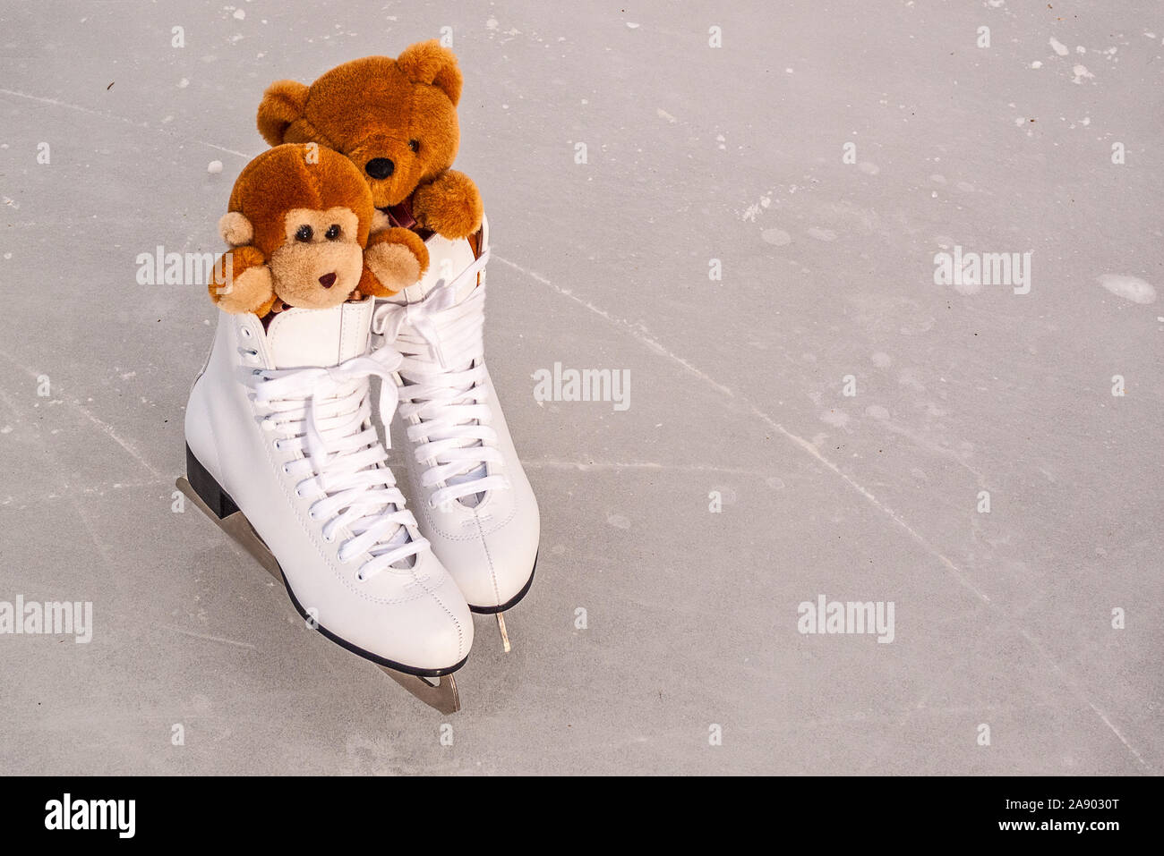 Bear monkey hi-res stock photography and images - Alamy