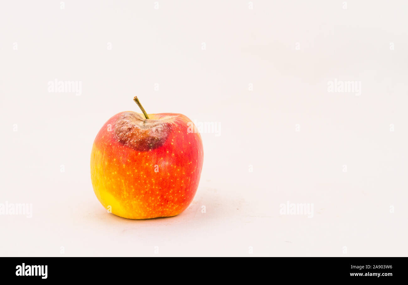 A single ripe red apple with a rotten spot at the top isolated on a ...