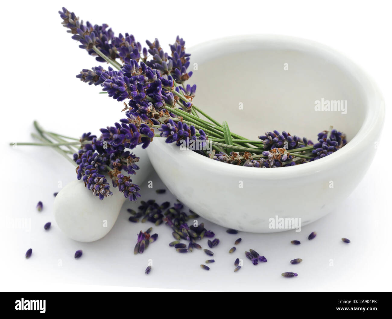 Lavender flower in a mortar with pestle over white background Stock Photo - Alamy