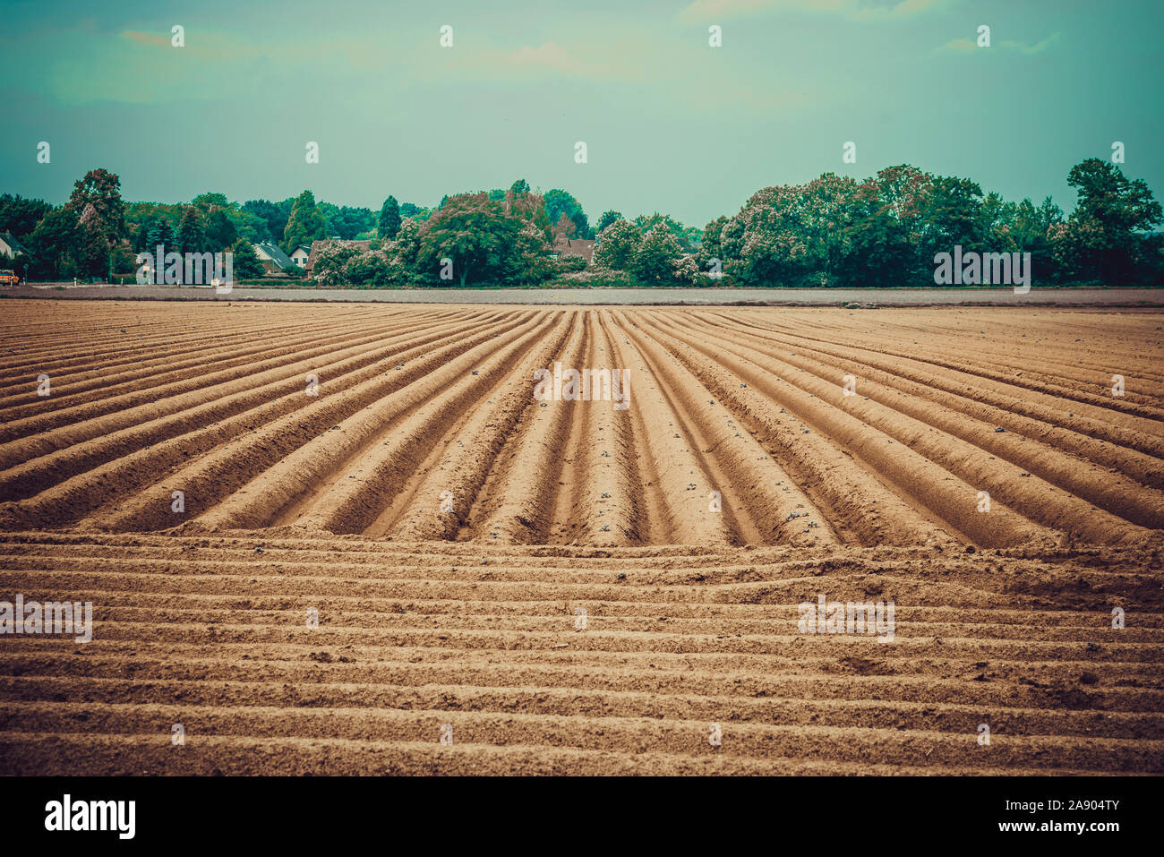 Ploughing potato fields hi-res stock photography and images - Alamy