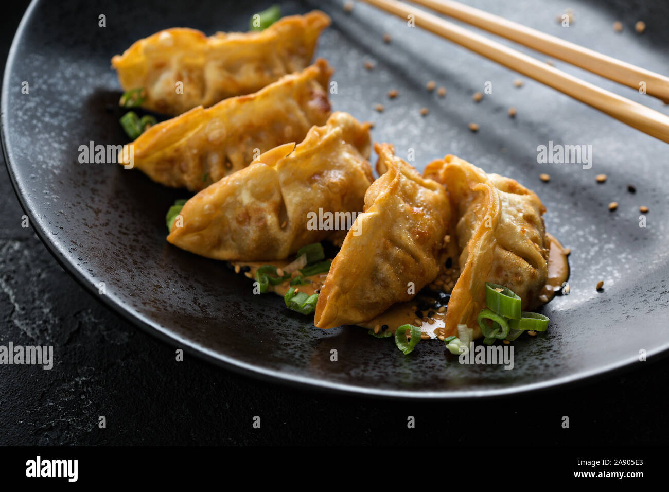 Fried japanese stuffed dumplings hi-res stock photography and images ...