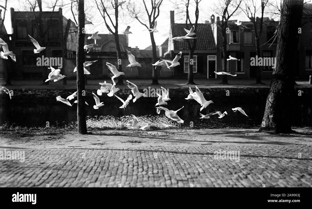 Reportage archival image hi-res stock photography and images - Alamy