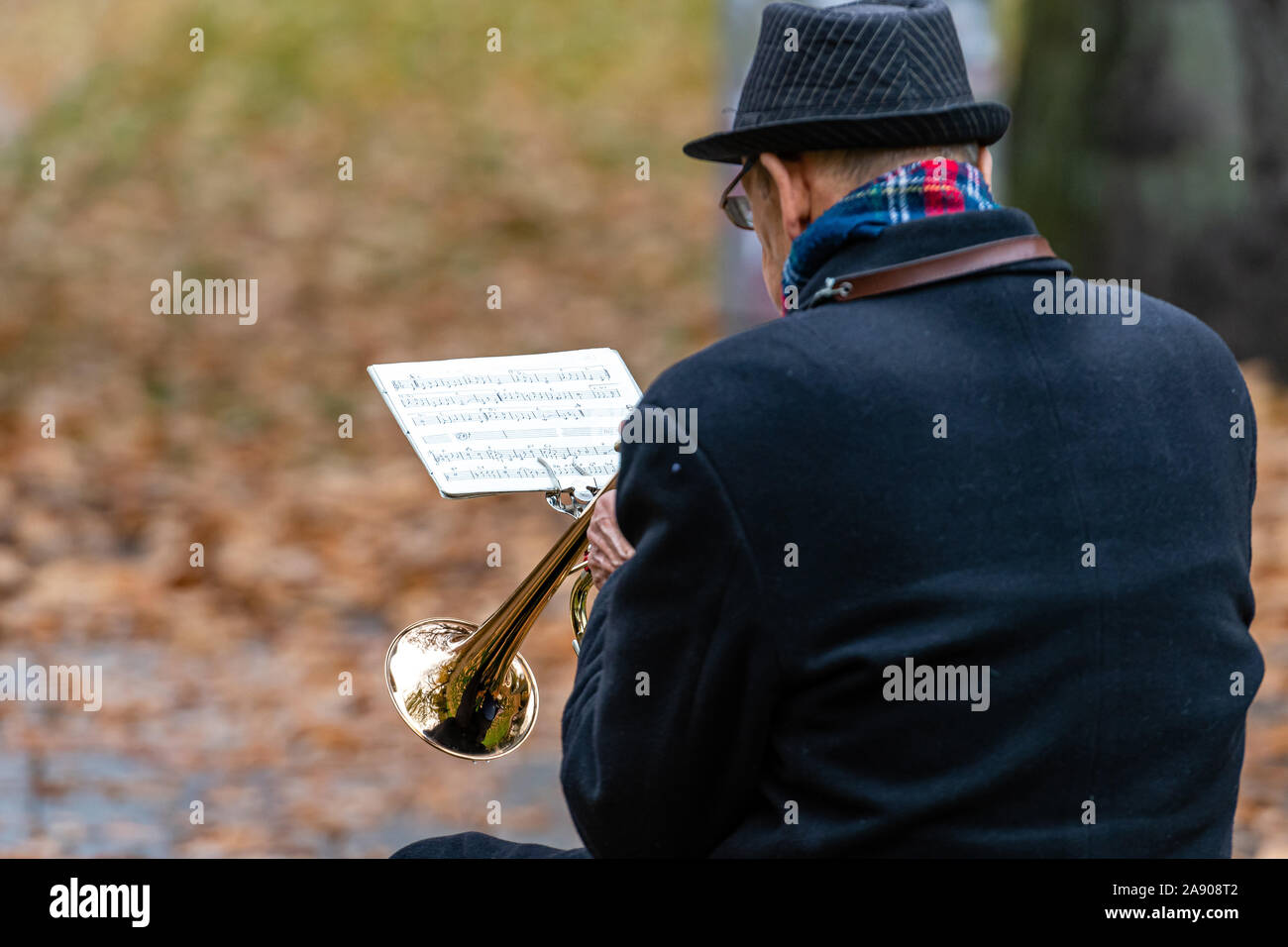 Close-up of Trumpet Player., view froim back - image Stock Photo - Alamy