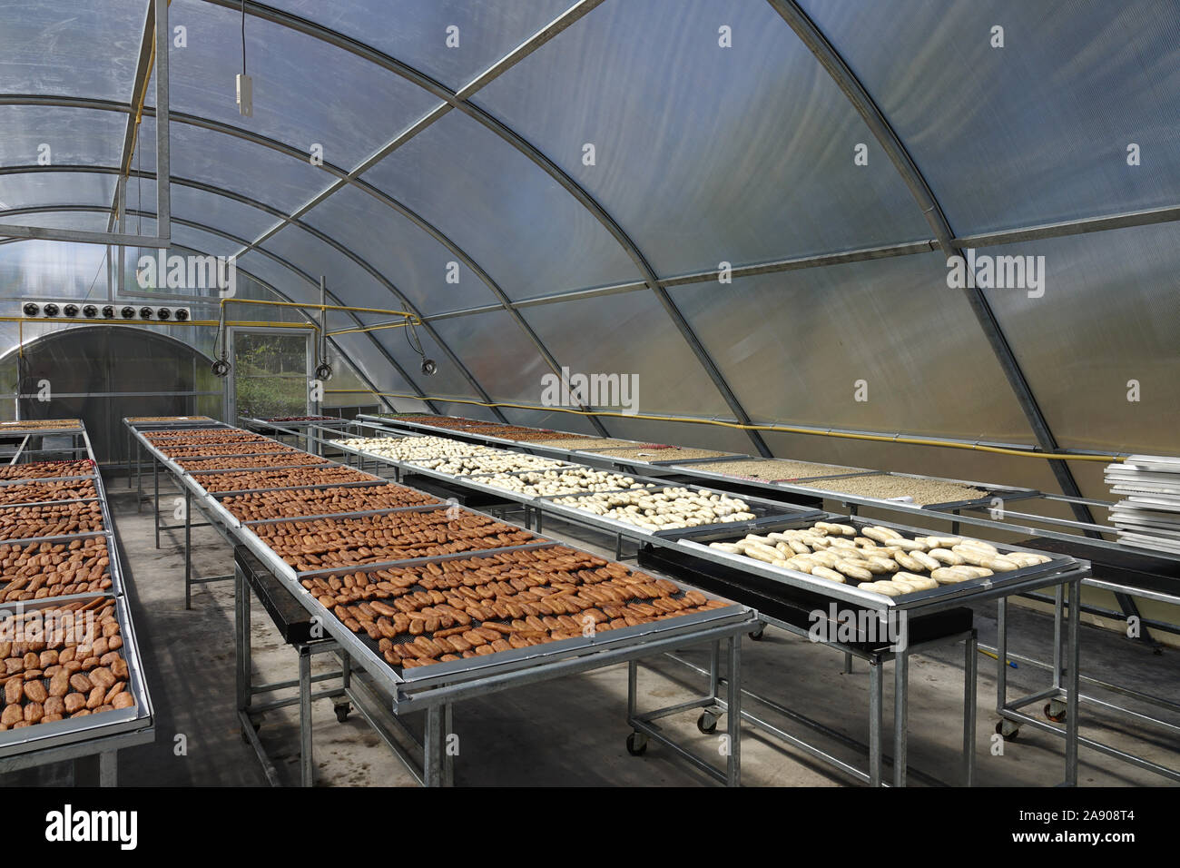 Solar dryer hi-res stock photography and images - Alamy