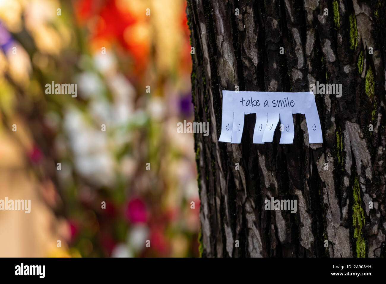 tree trunk with paper with the phrase: Take A Smile and with a smile ...
