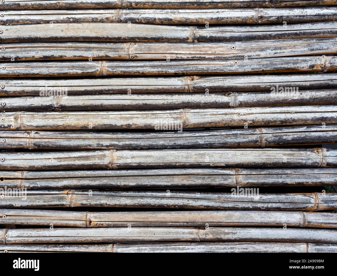 Bamboo bridge background. Bamboo walkway texture Stock Photo - Alamy