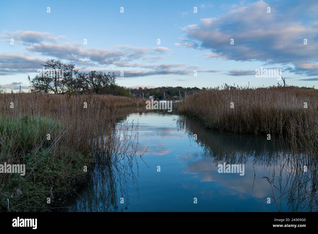 River Hamble High Resolution Stock Photography and Images - Alamy