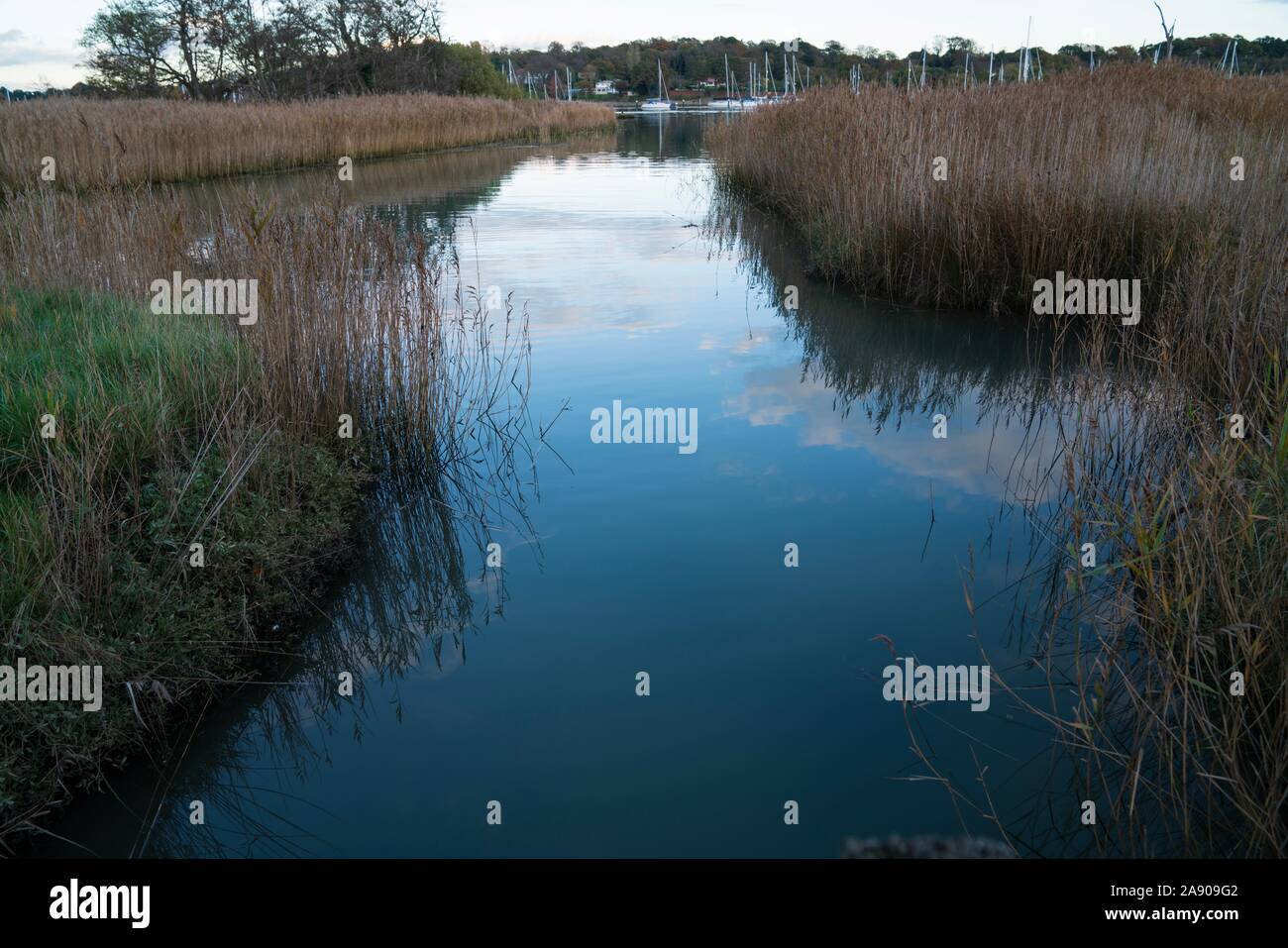 Hamble river hi-res stock photography and images - Alamy