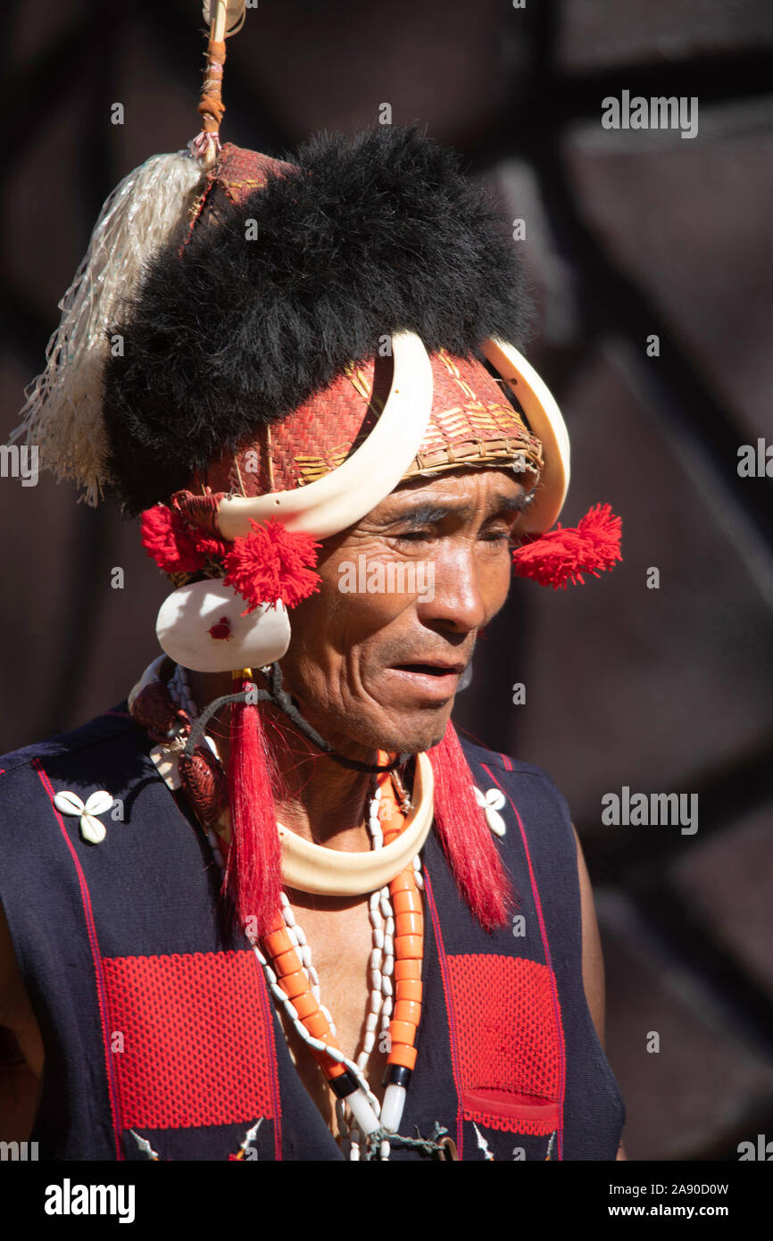 Nagaland state animal hi-res stock photography and images - Alamy