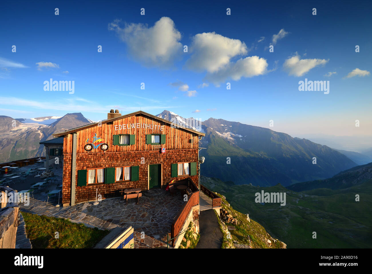 Edelweiss austria hi-res stock photography and images - Alamy