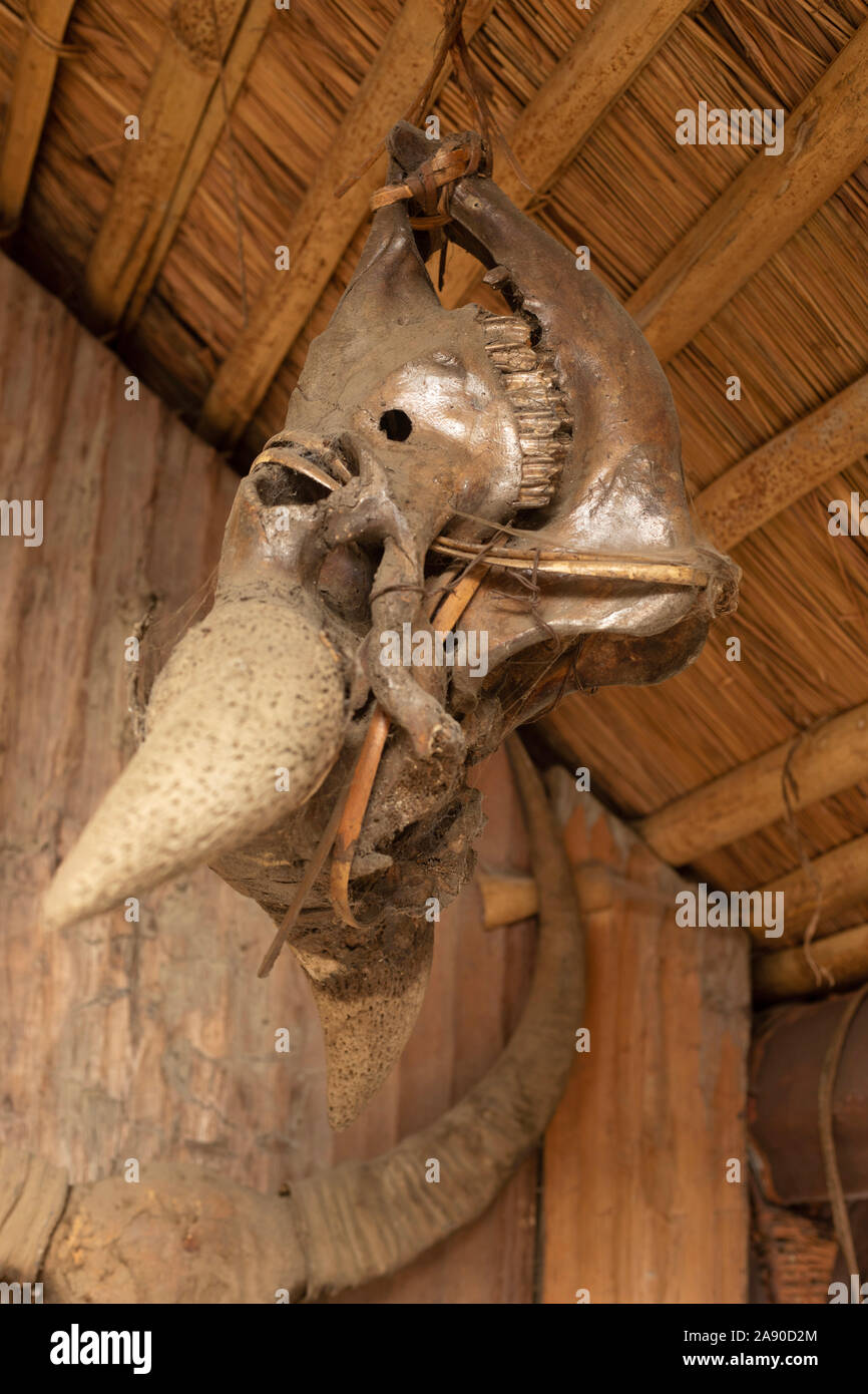 Mithun animal hi-res stock photography and images - Alamy