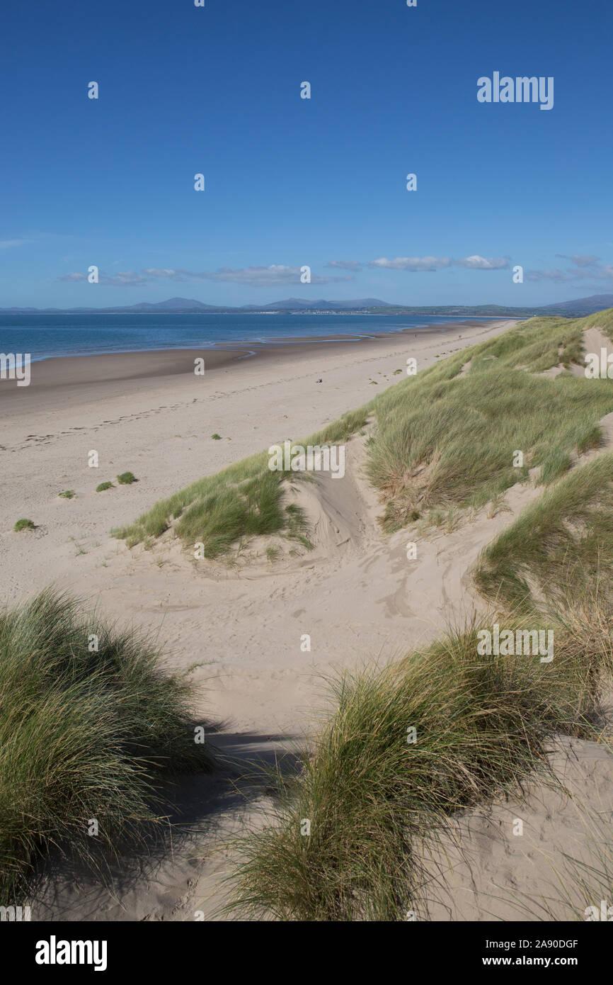 Harlech beach north west Wales UK by the castle Stock Photo - Alamy
