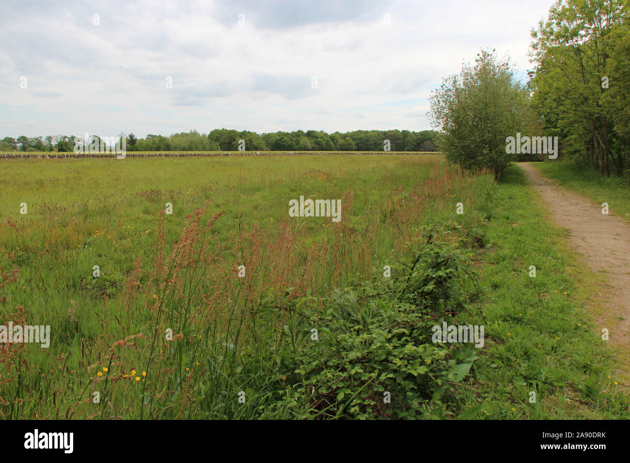 prairie in the countryside around nantes (france Stock Photo - Alamy