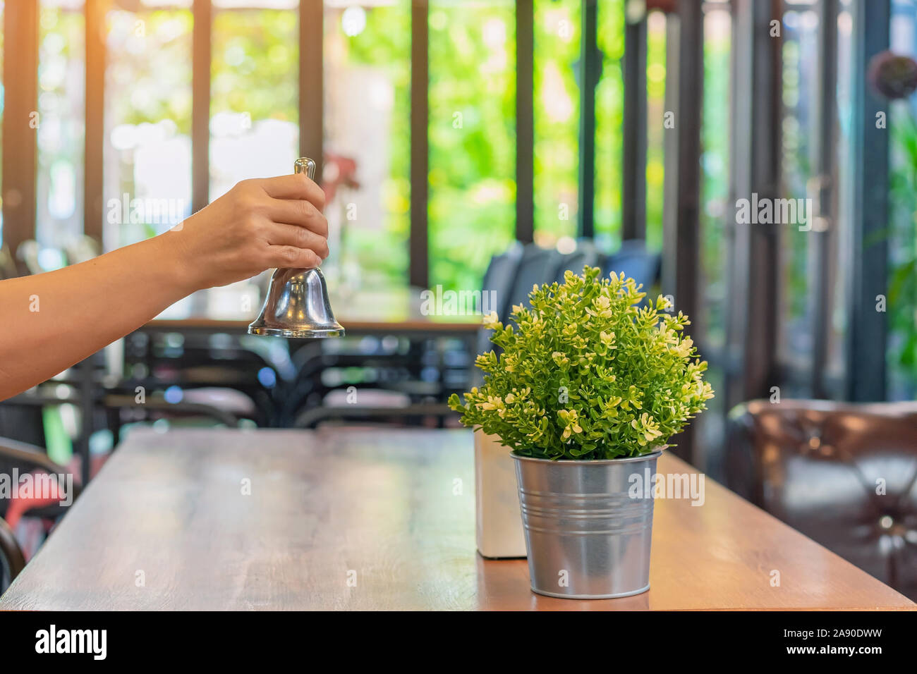 The female client's right hand hold a small bell to shake for call the ...