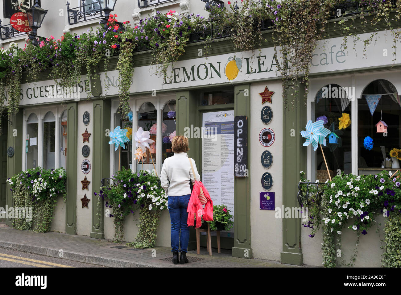 Lemon leaf hi-res stock photography and images - Alamy