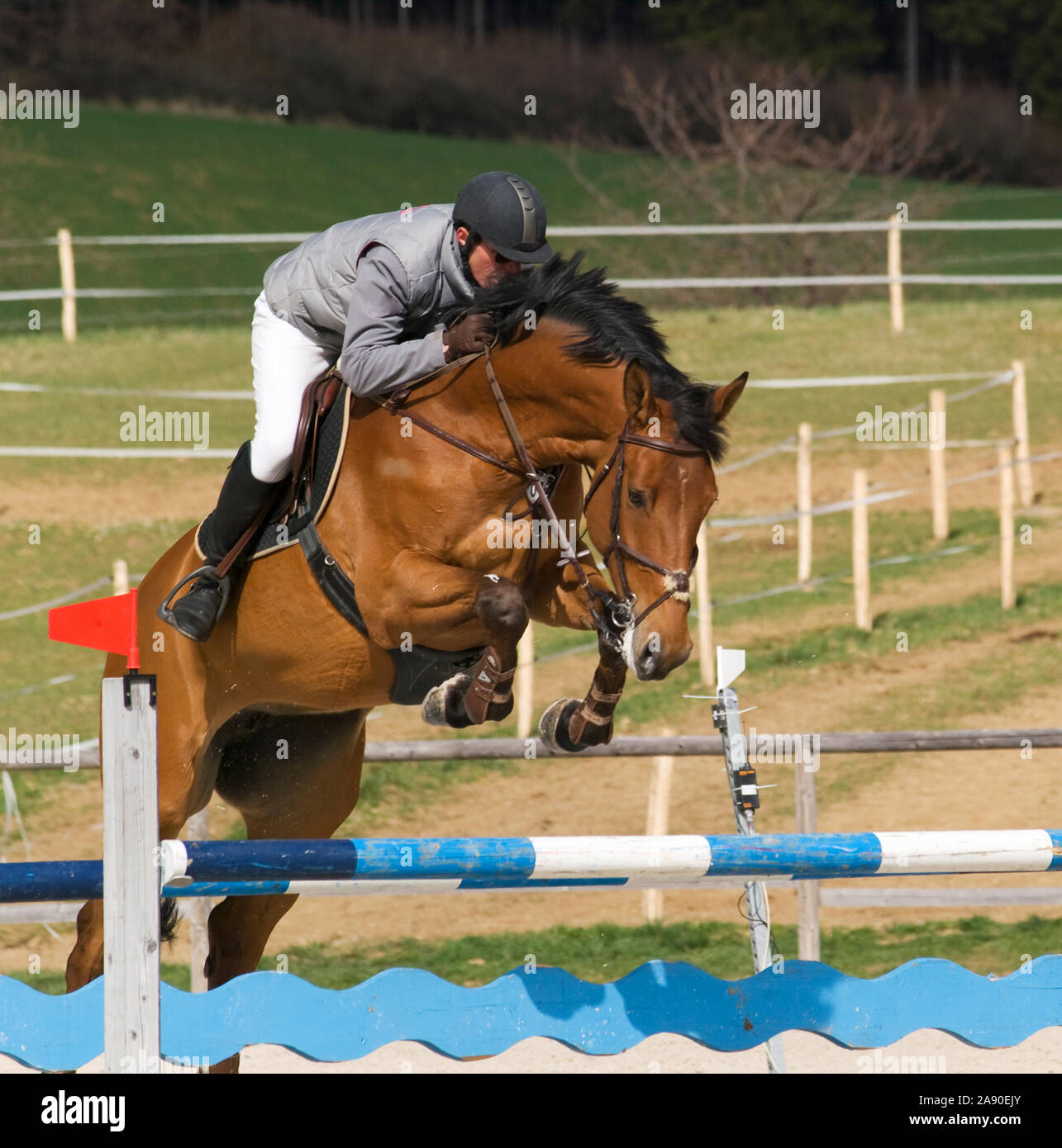 Show_jumping hi-res stock photography and images - Alamy