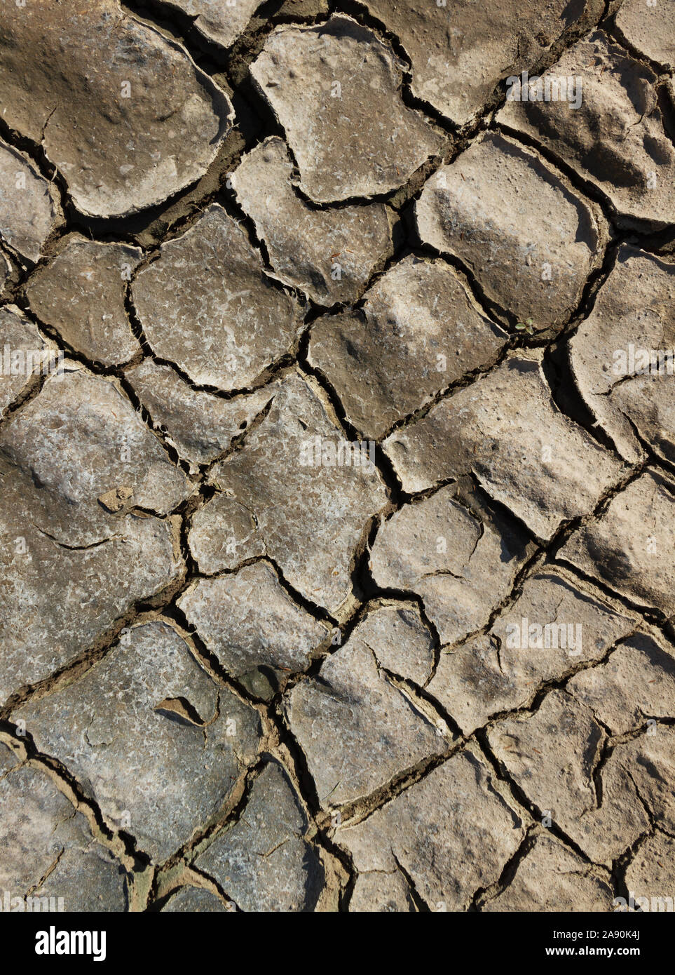 Cracked ground on a field in a drought time Stock Photo - Alamy