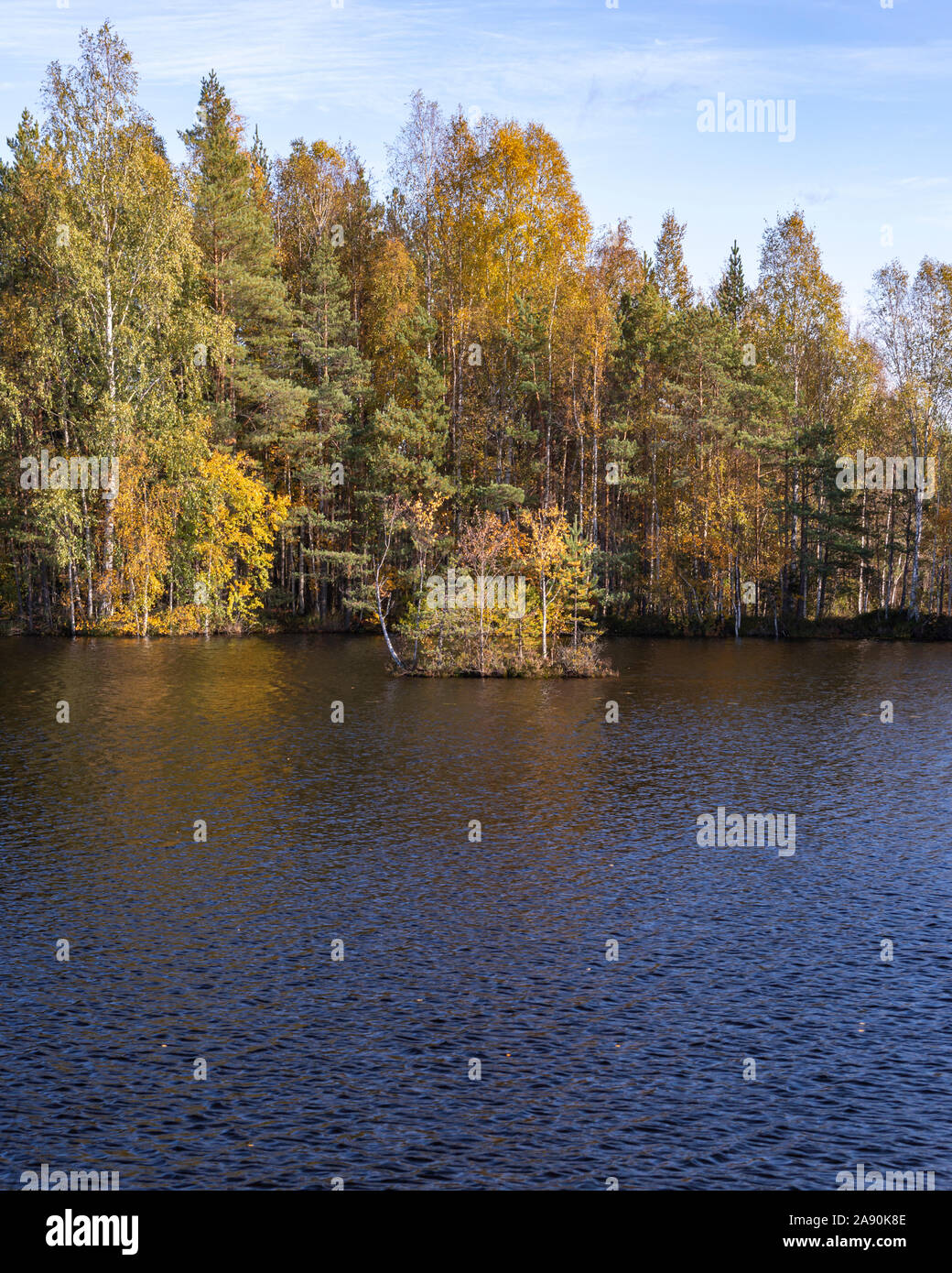 Finnish forest and lake landscape Stock Photo - Alamy