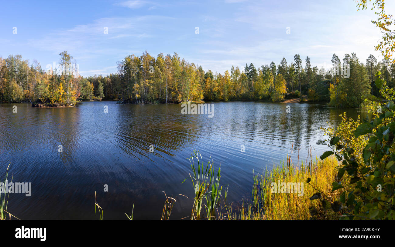 Finnish forest and lake landscape Stock Photo - Alamy