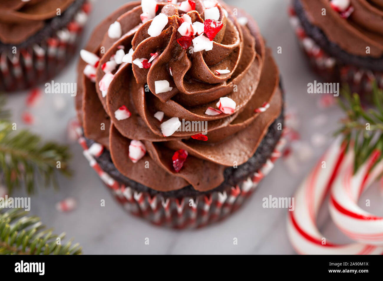 Chocolate peppermint cupcakes with candy cane crumbs for Christmas ...