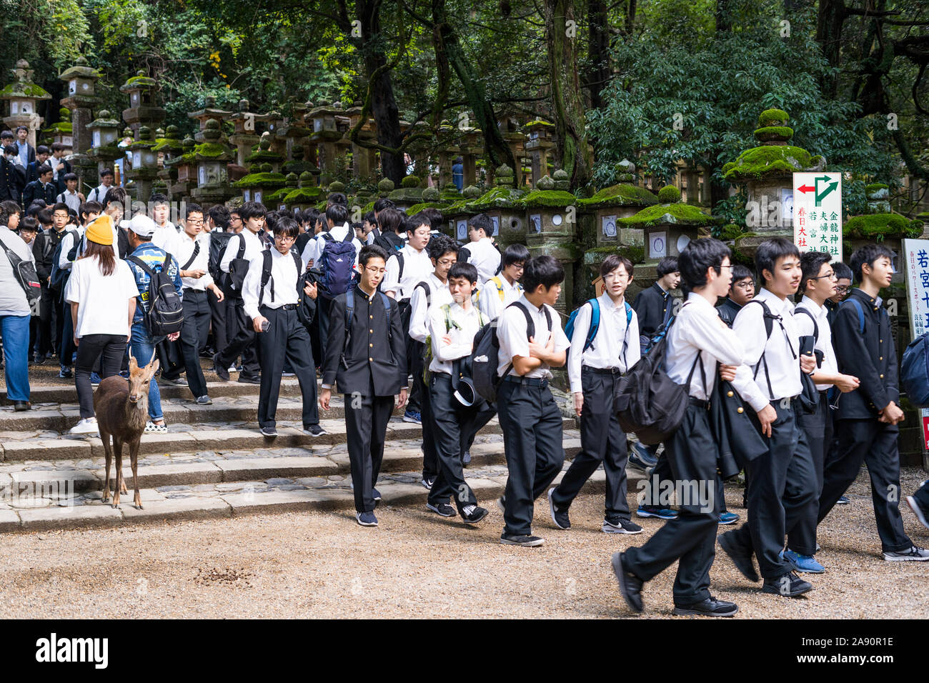 Japanese boys uniform hi-res stock photography and images - Alamy