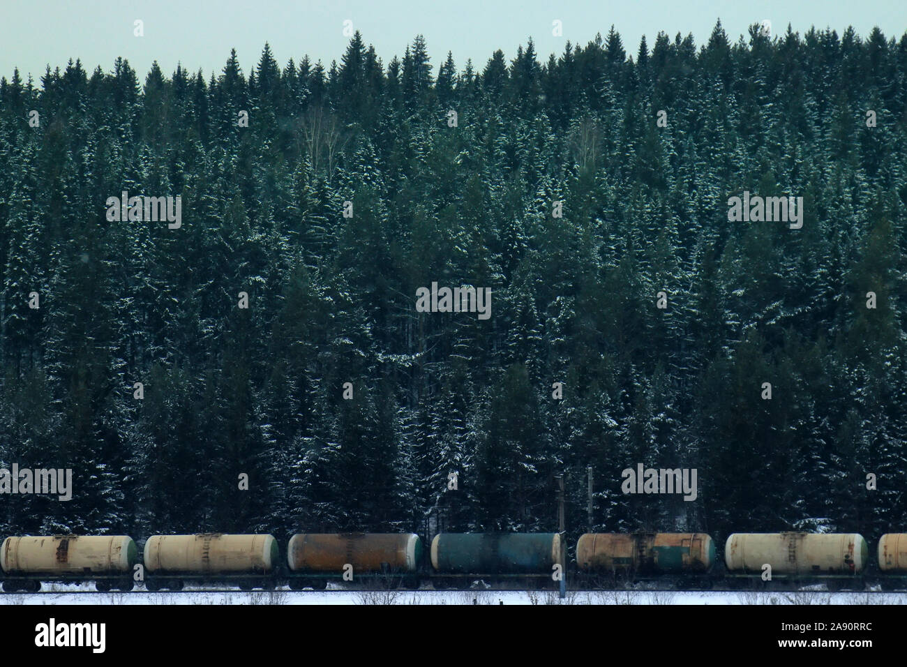 freight train moving through coniferous forest along frozen river Stock ...