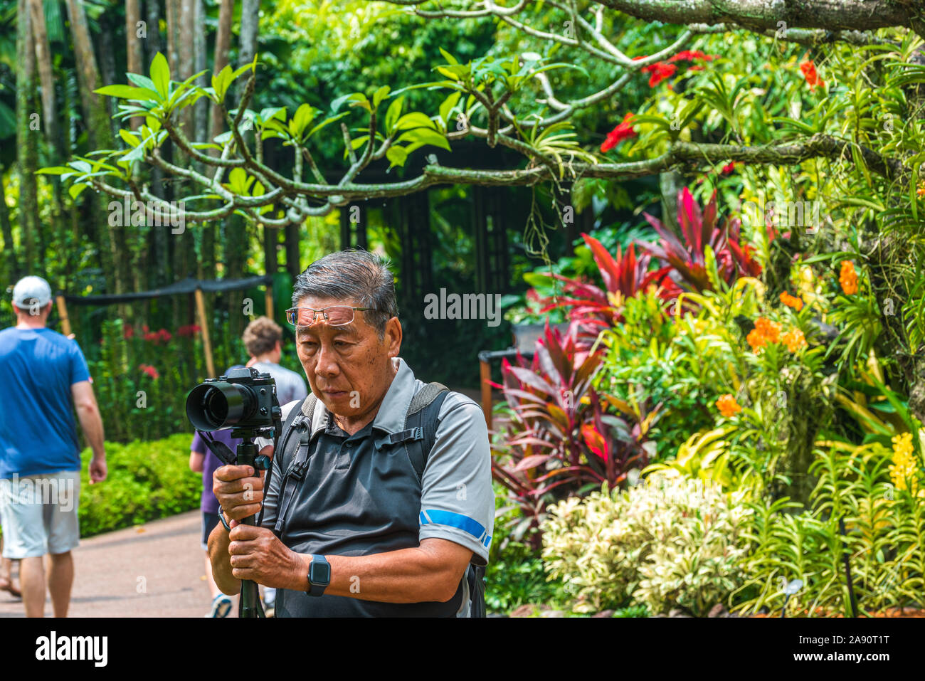 One active Asian Chinese senior male man taking photographs with his ...