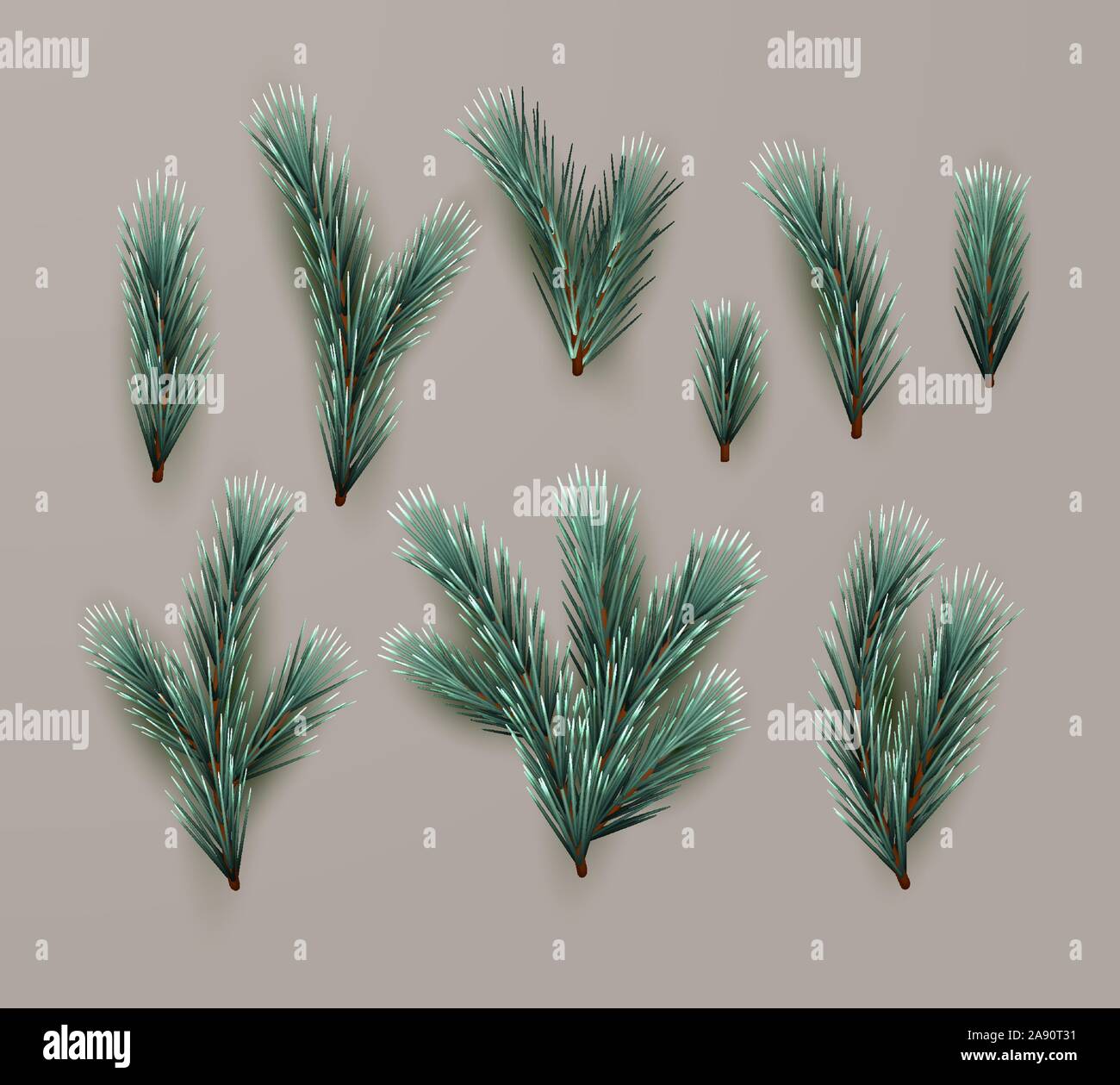 Branches fir tree decoration Stock Vector Images - Alamy