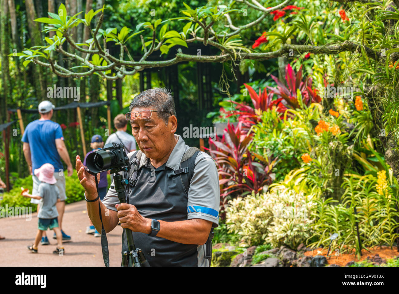 One active Asian Chinese senior male man taking photographs with his ...