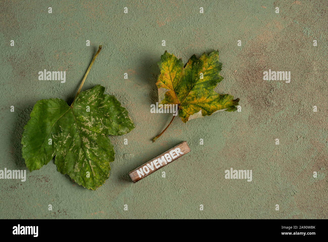 november template with autumn leaves on green background with copy ...