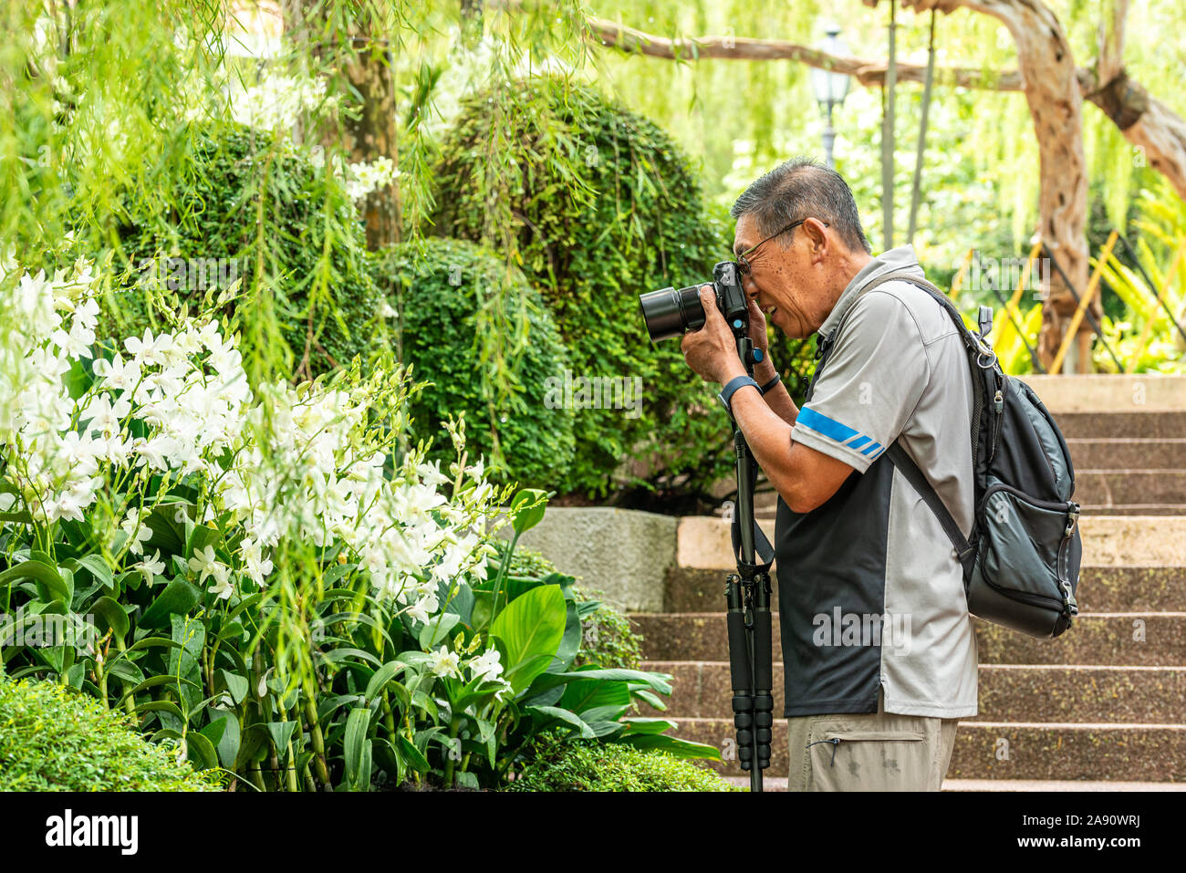 One active Asian Chinese senior male man taking photographs with his ...