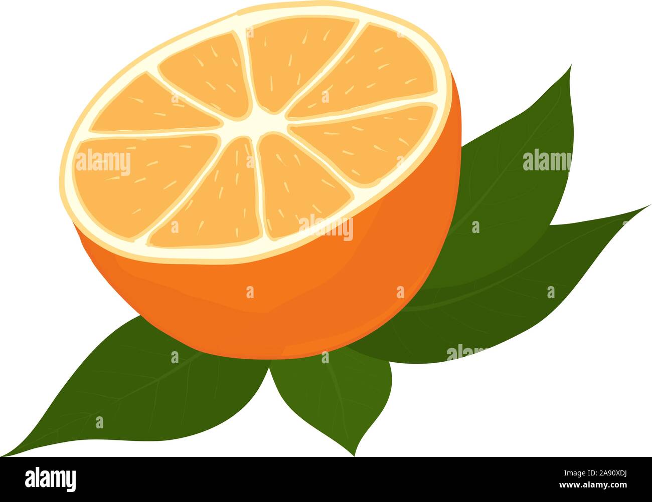 Citrus surface Stock Vector Images - Alamy