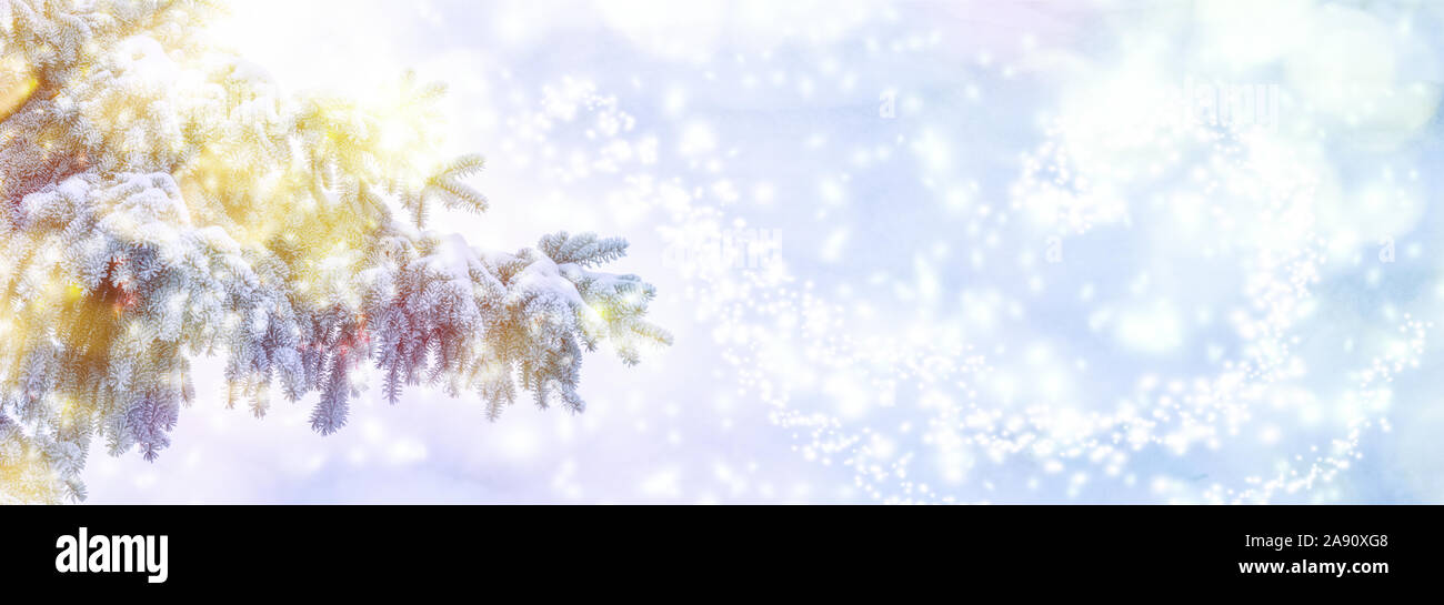 Beautiful fir tree covered snow, closeup. Winter Christmas greeting ...