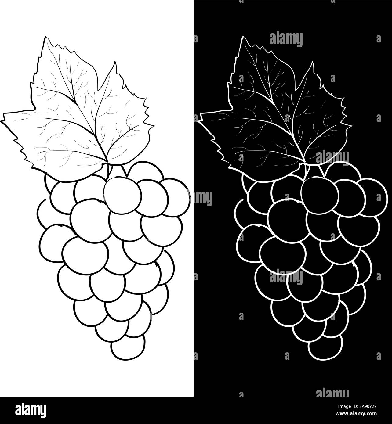 Bunch ripe black grapes Stock Vector Images - Alamy