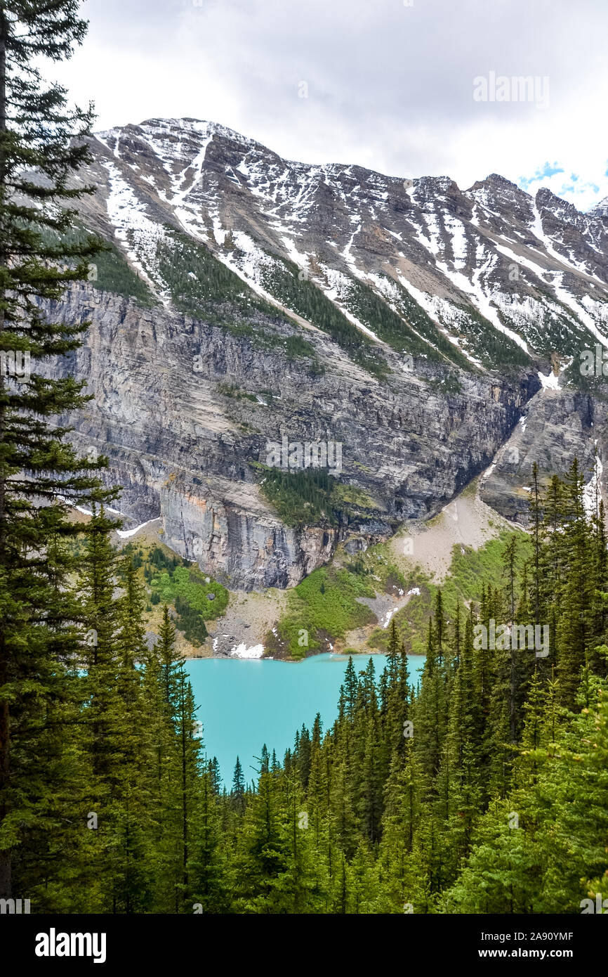 Peering through trees hi-res stock photography and images - Alamy