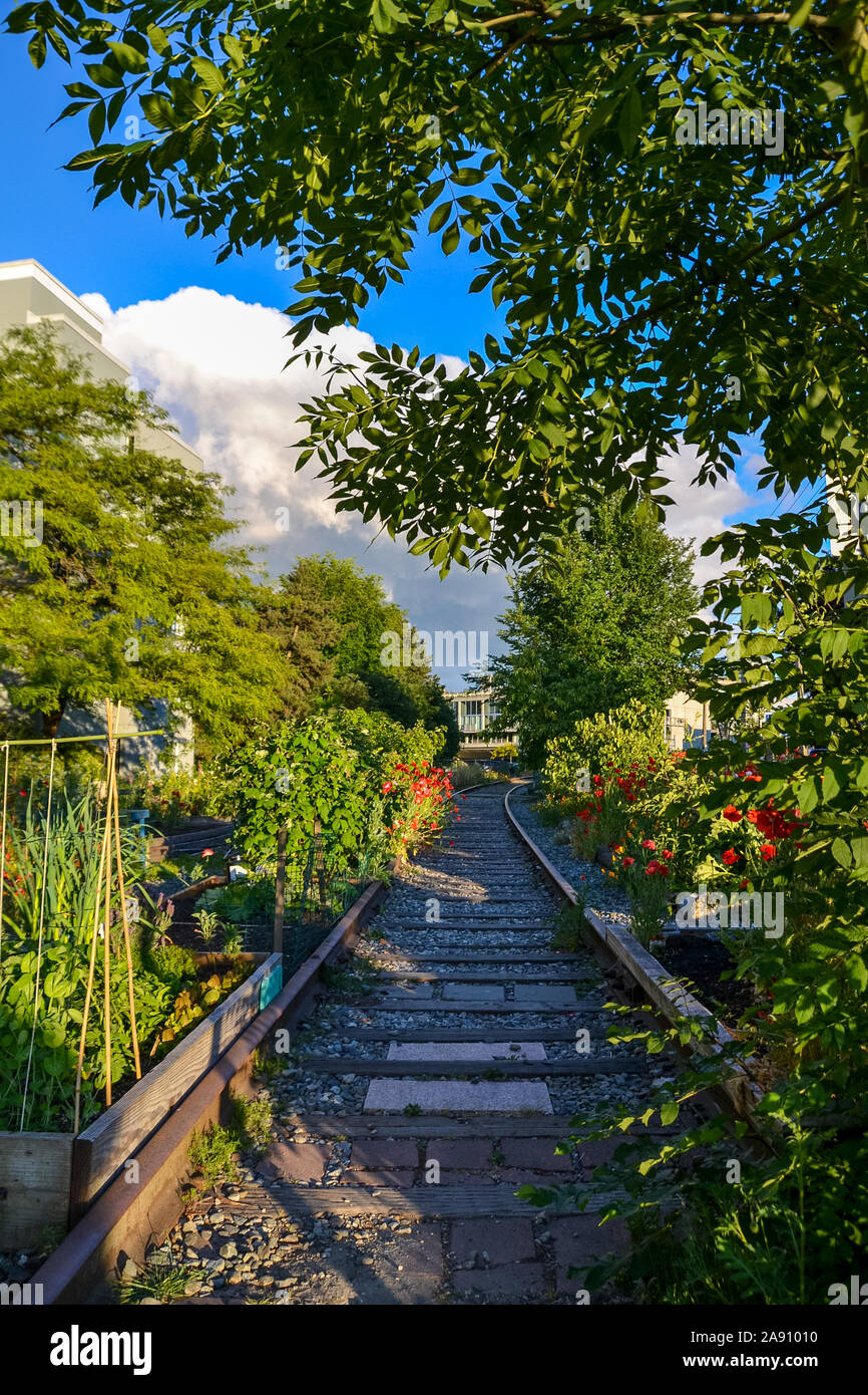 Old rail tracks turned into a Garden Stock Photo - Alamy
