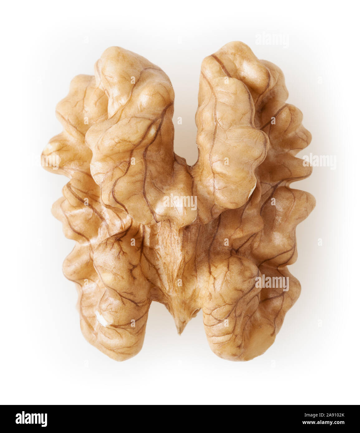 Walnut isolated on white background with clipping path Stock Photo - Alamy