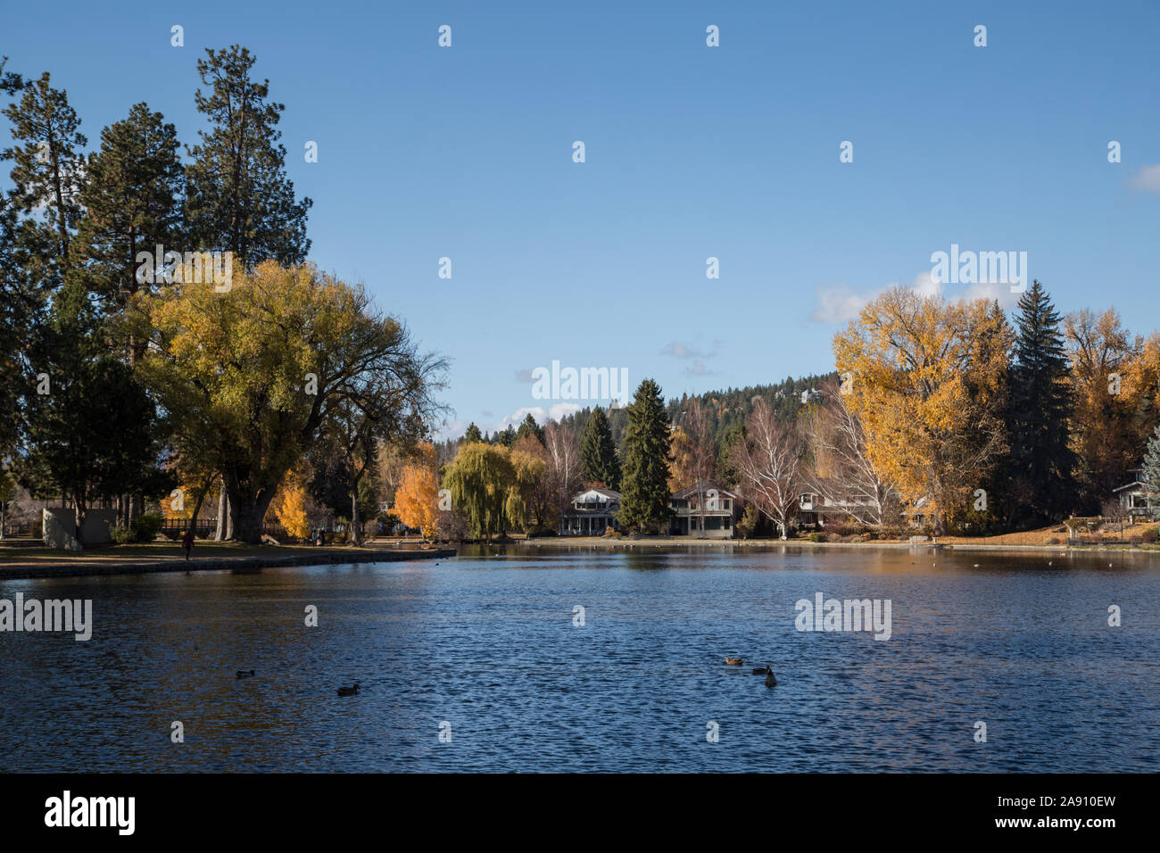 Mirror Pond surrounded by trees with fall foliage next to Drake Park in ...