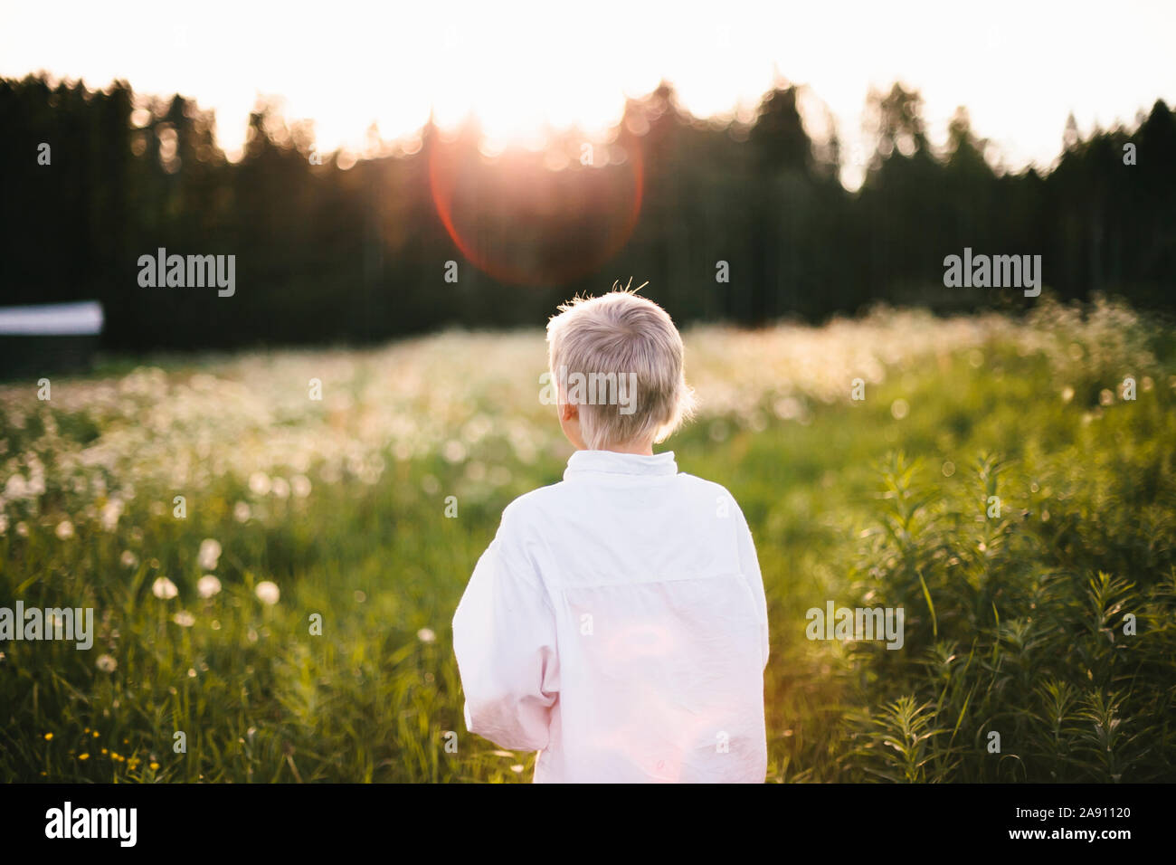 Boy walking through meadow Stock Photo - Alamy