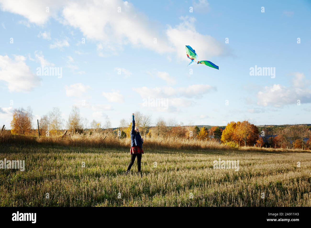 Girl flying kite Stock Photo - Alamy