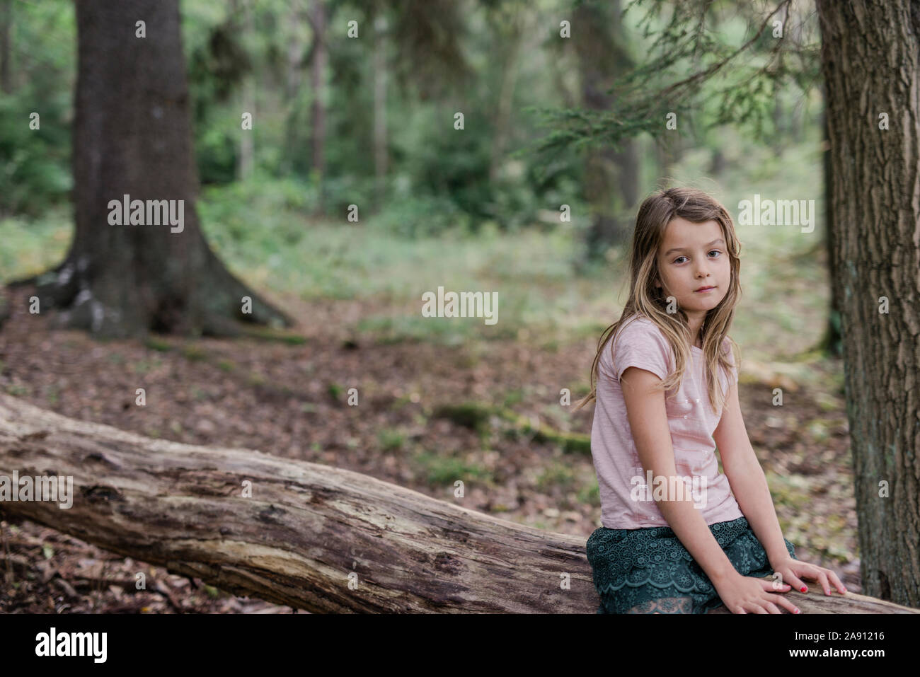 Girl sitting on tree trunk Stock Photo - Alamy