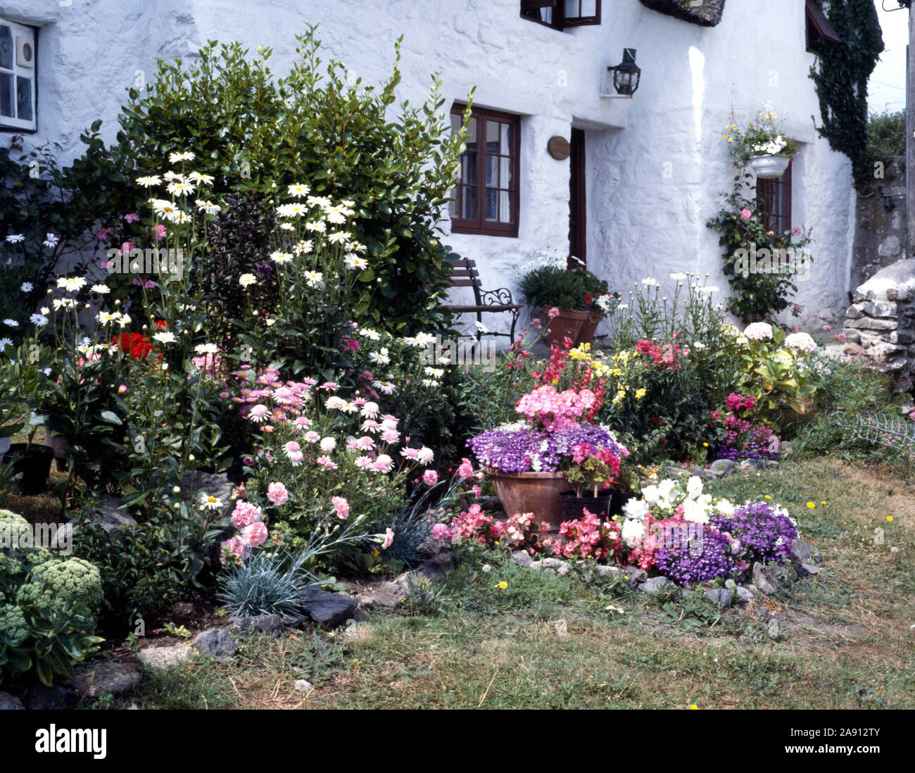 Exterior of white washed Cornish cottage Stock Photo - Alamy
