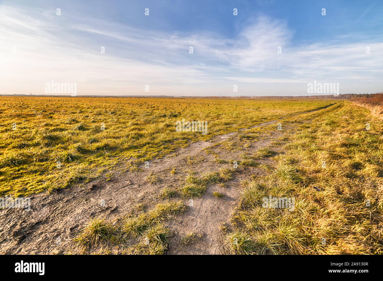 Distant forest hi-res stock photography and images - Alamy