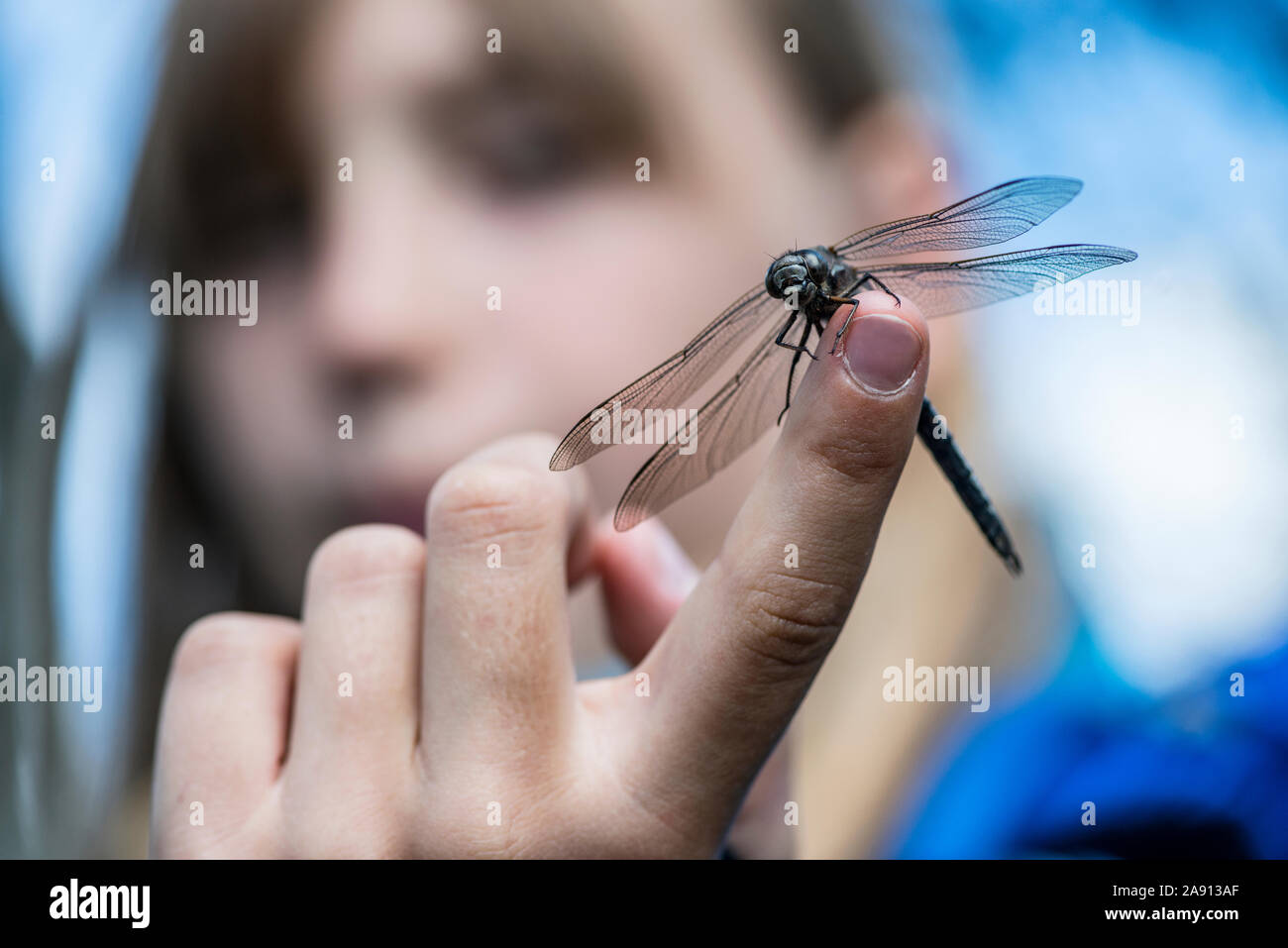 Dragonfly on girls hand Stock Photo - Alamy