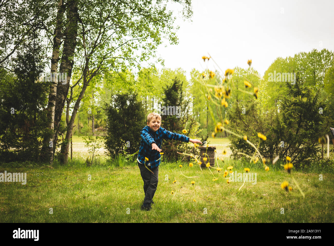 Throwing away flowers hi-res stock photography and images - Alamy