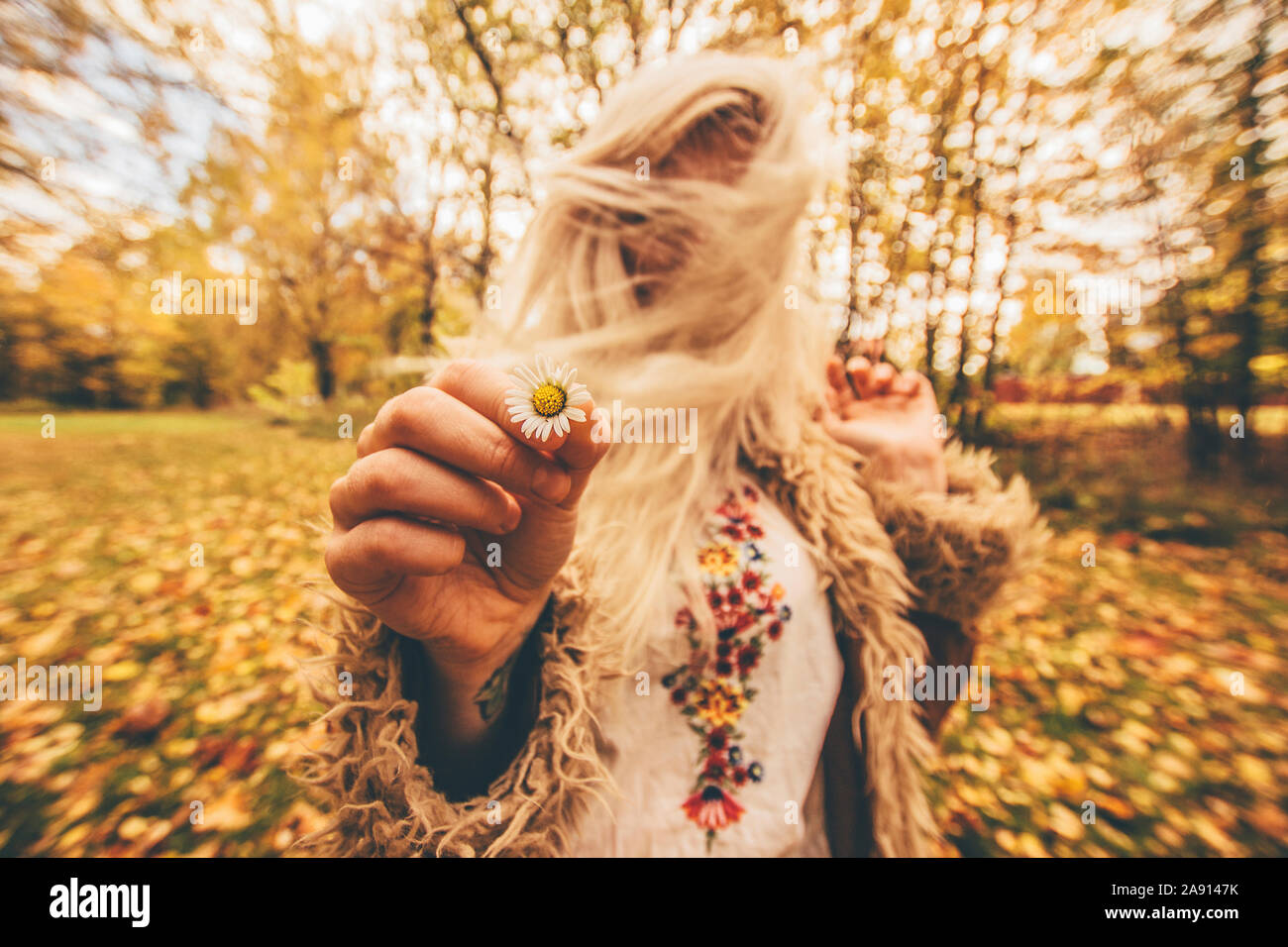 Woman with daisy hi-res stock photography and images - Alamy