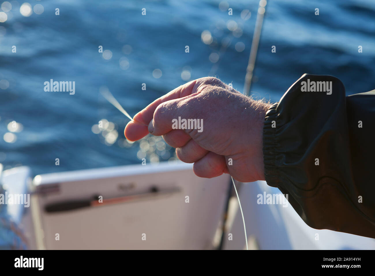 Hand holding line Stock Photo - Alamy